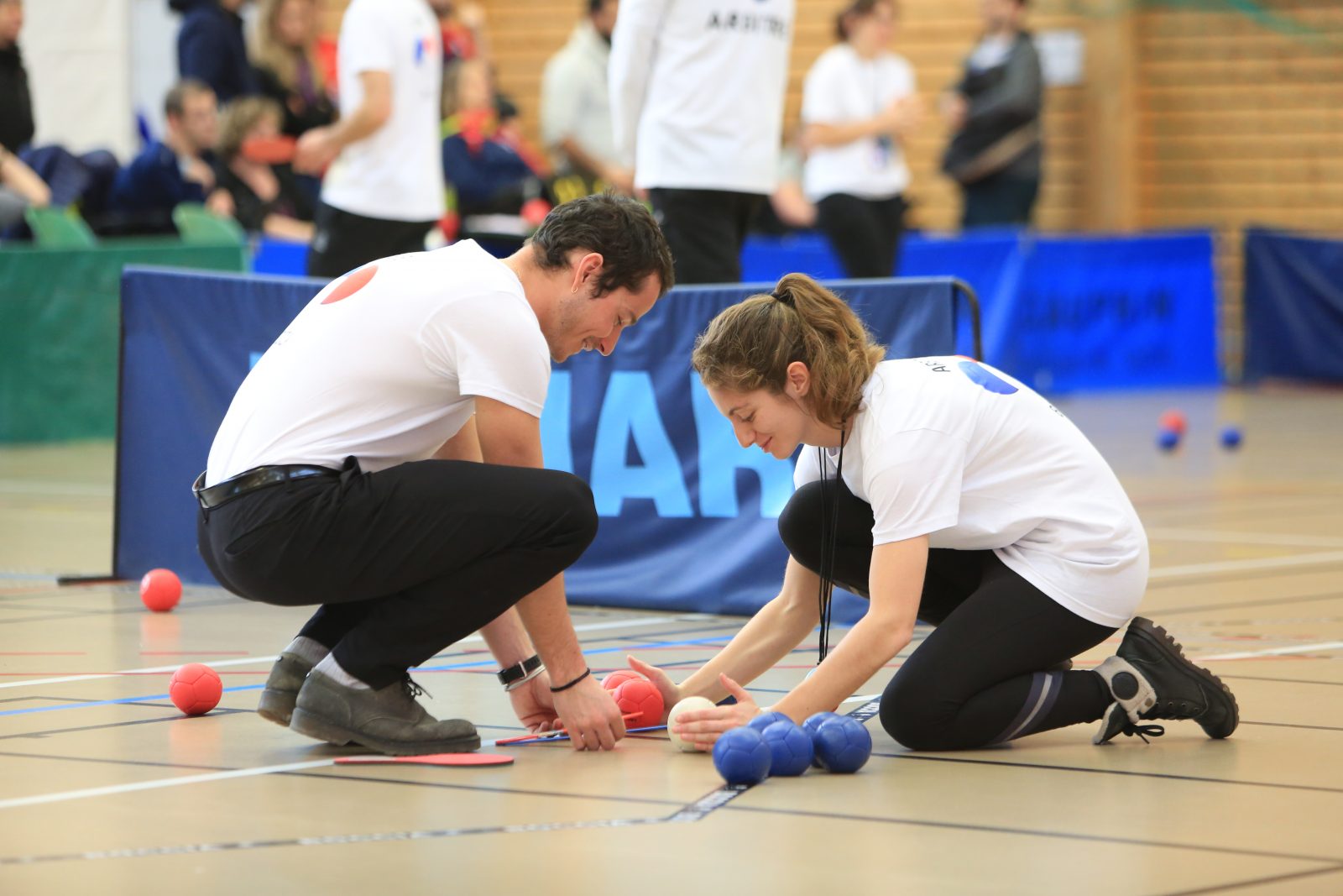 Cahiers des experts / Boccia : le matériel de jeu – Commission fédérale ...